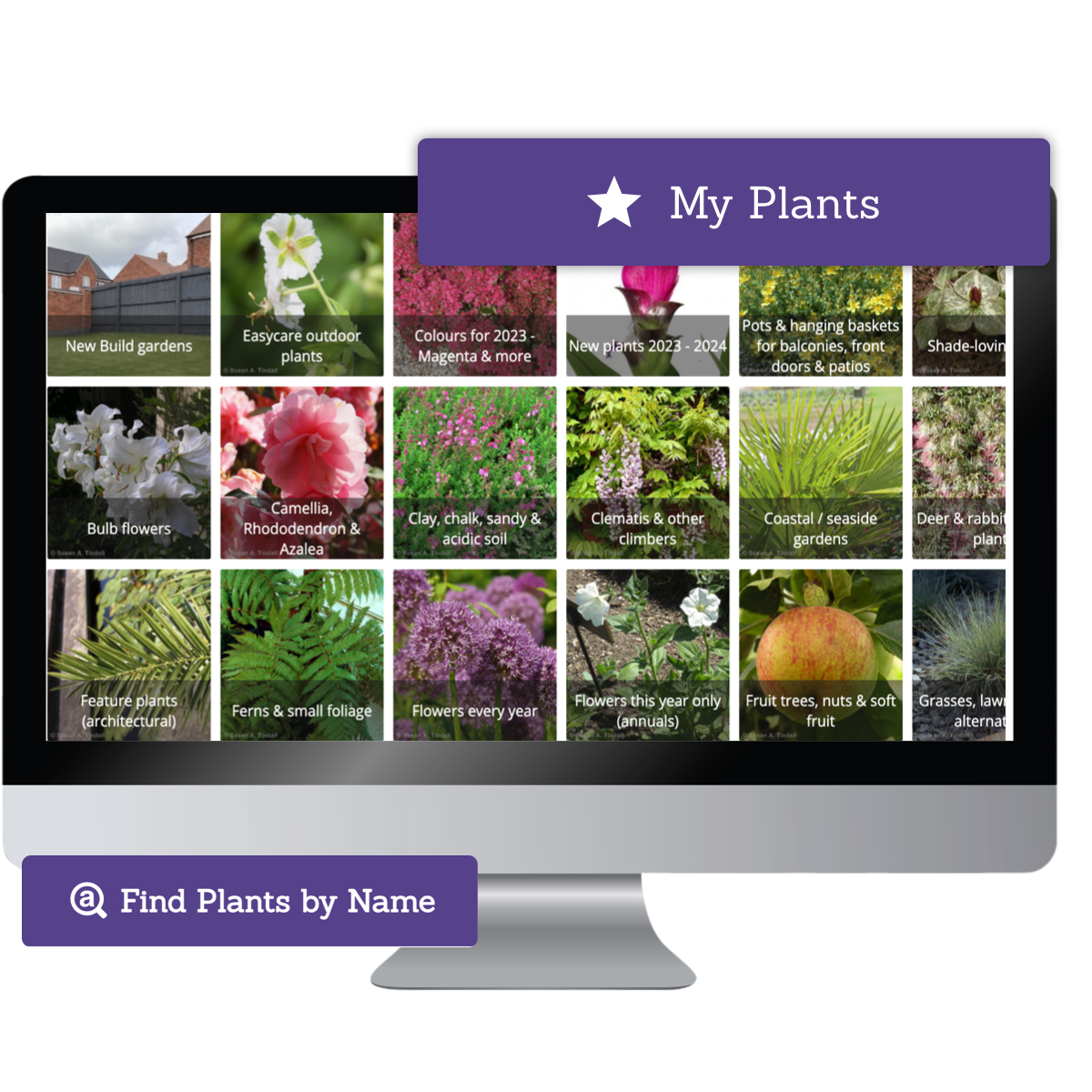 Plants - Pentland Plants Garden Centre